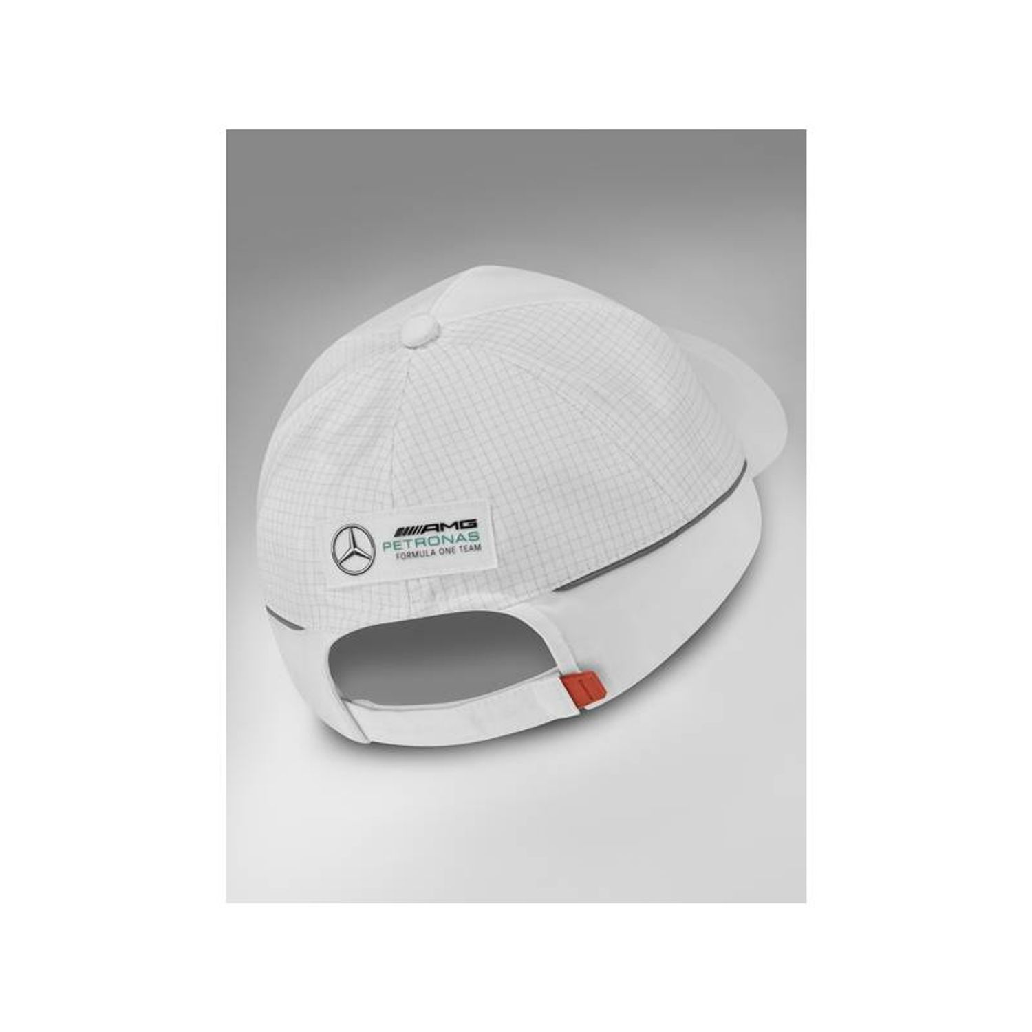 Mercedes-Benz - Sapca Mercedes AMG Petronas Formula One Team, Sezon ...