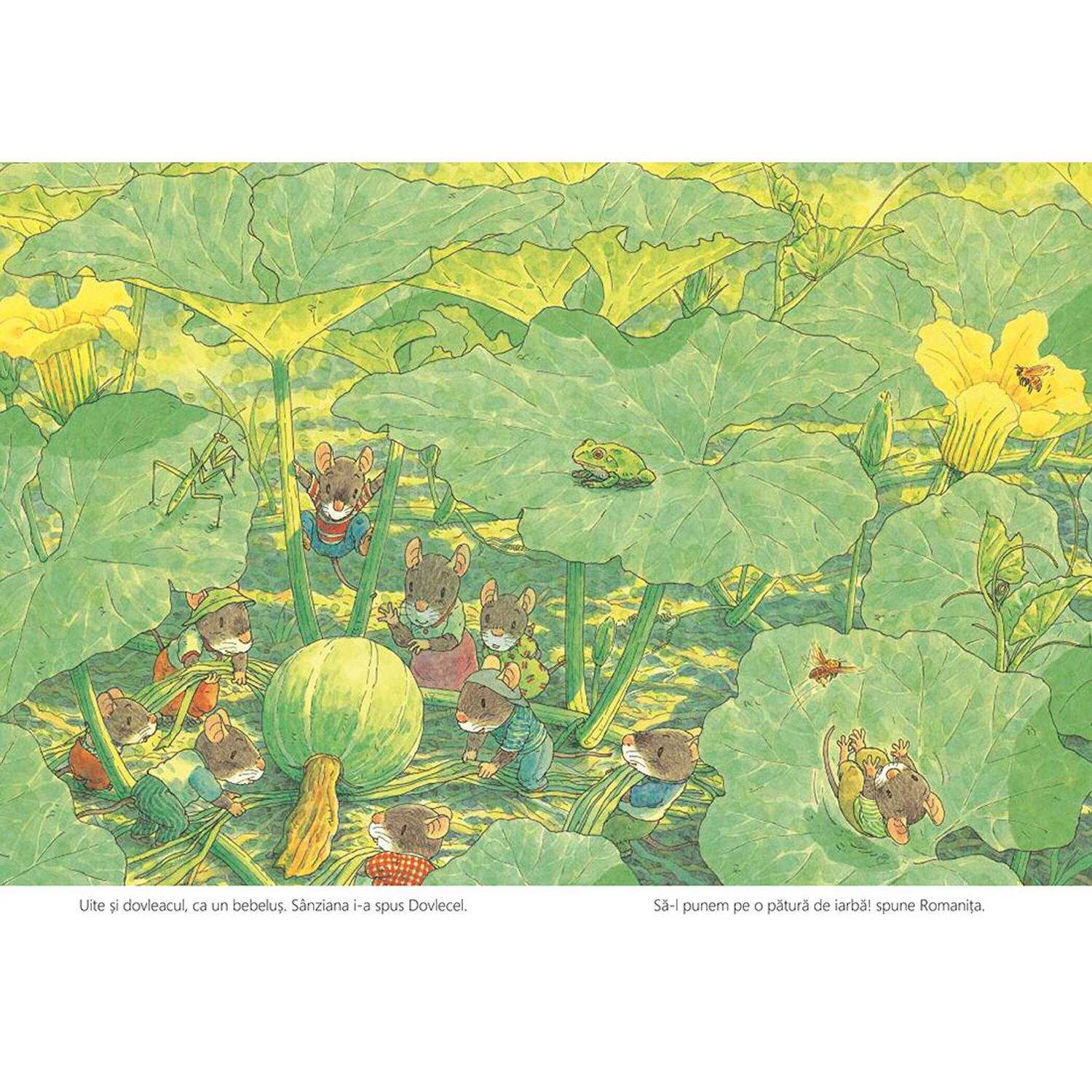 Editura Cartea Copiilor - Dovleacul familiei soricel - de Kazuo Iwamura ...